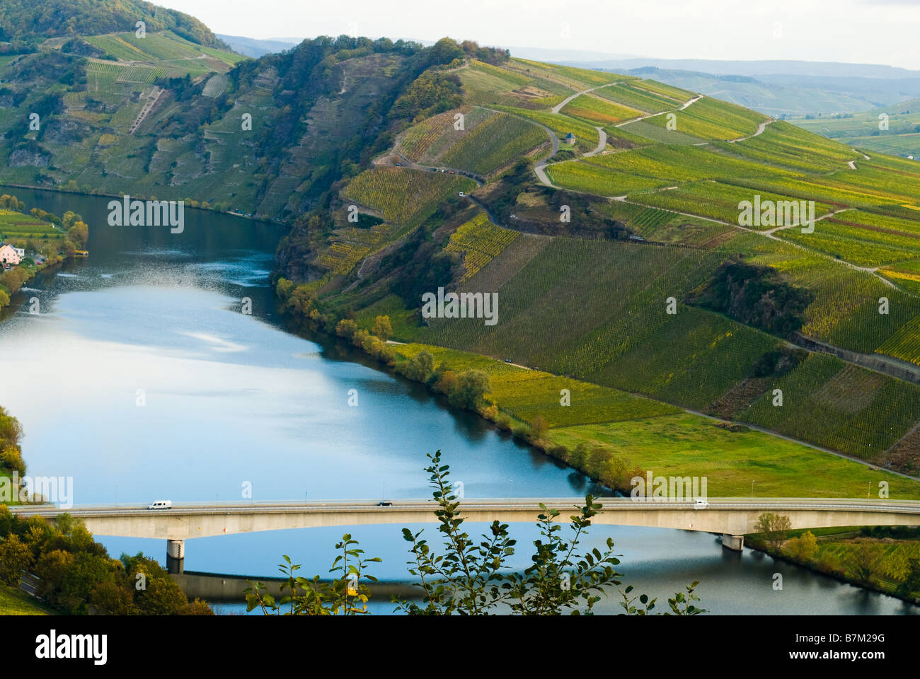 bridge and vineyards along the mosel river in germany Stock Photo - Alamy