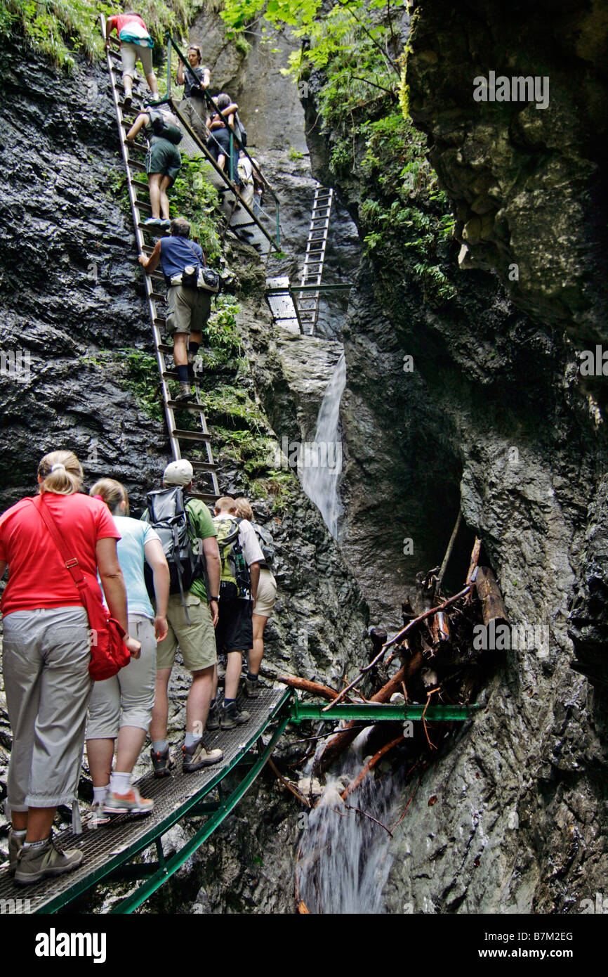 Tourists on ladder in Gorge Sucha bela, Slovak paradise, Slovakia Stock ...