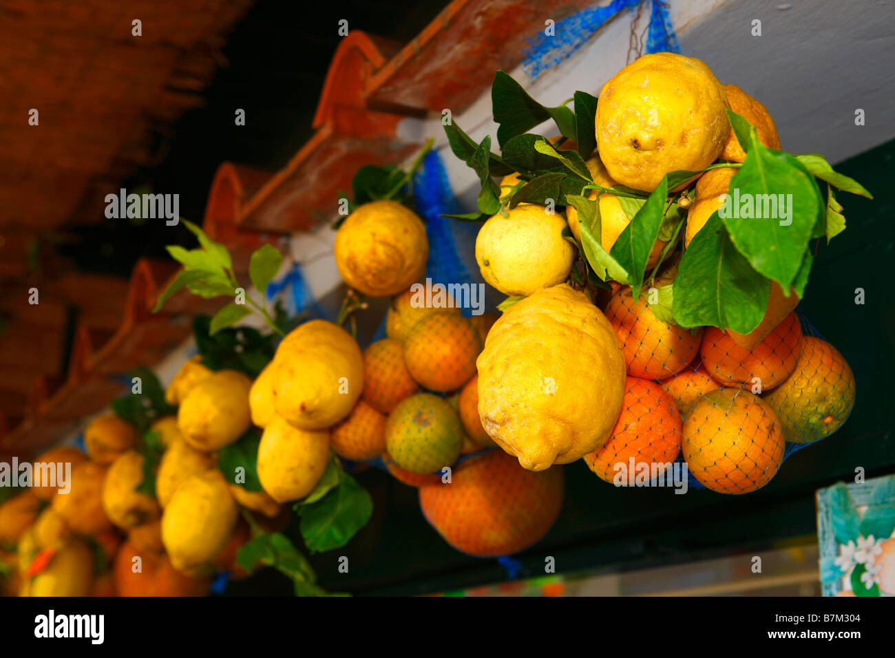 Procida lemons hi-res stock photography and images - Alamy