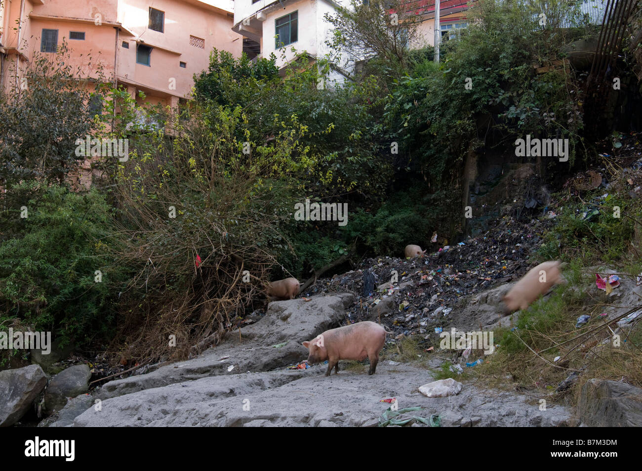 Indian mandi hi-res stock photography and images - Alamy