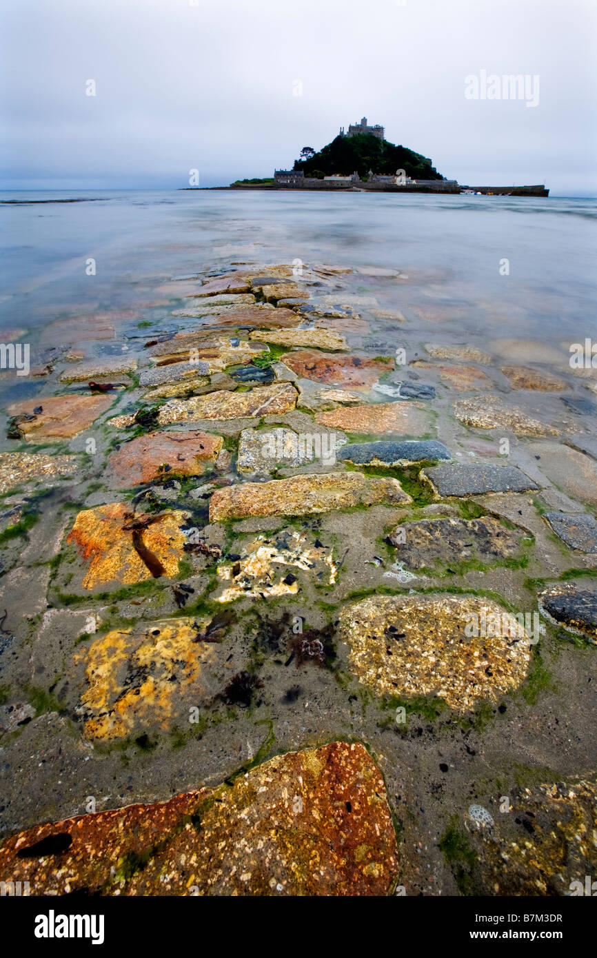 NT Cornwall June 08 Stock Photo - Alamy