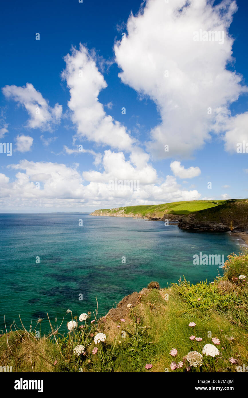 Trewavas cliff hi-res stock photography and images - Alamy
