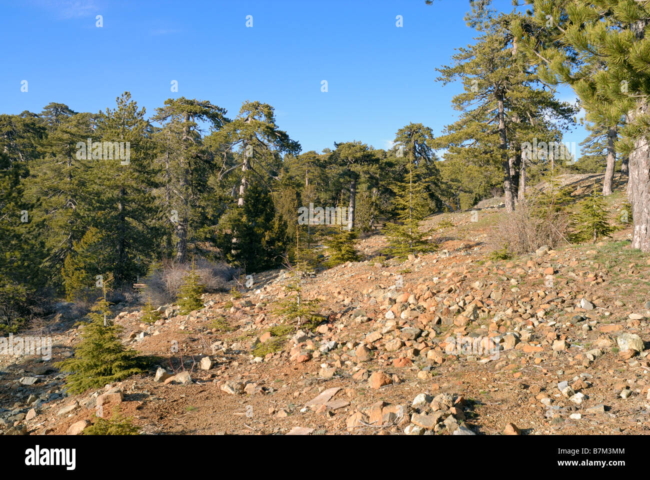 Slope of troodos mountain hi-res stock photography and images - Alamy