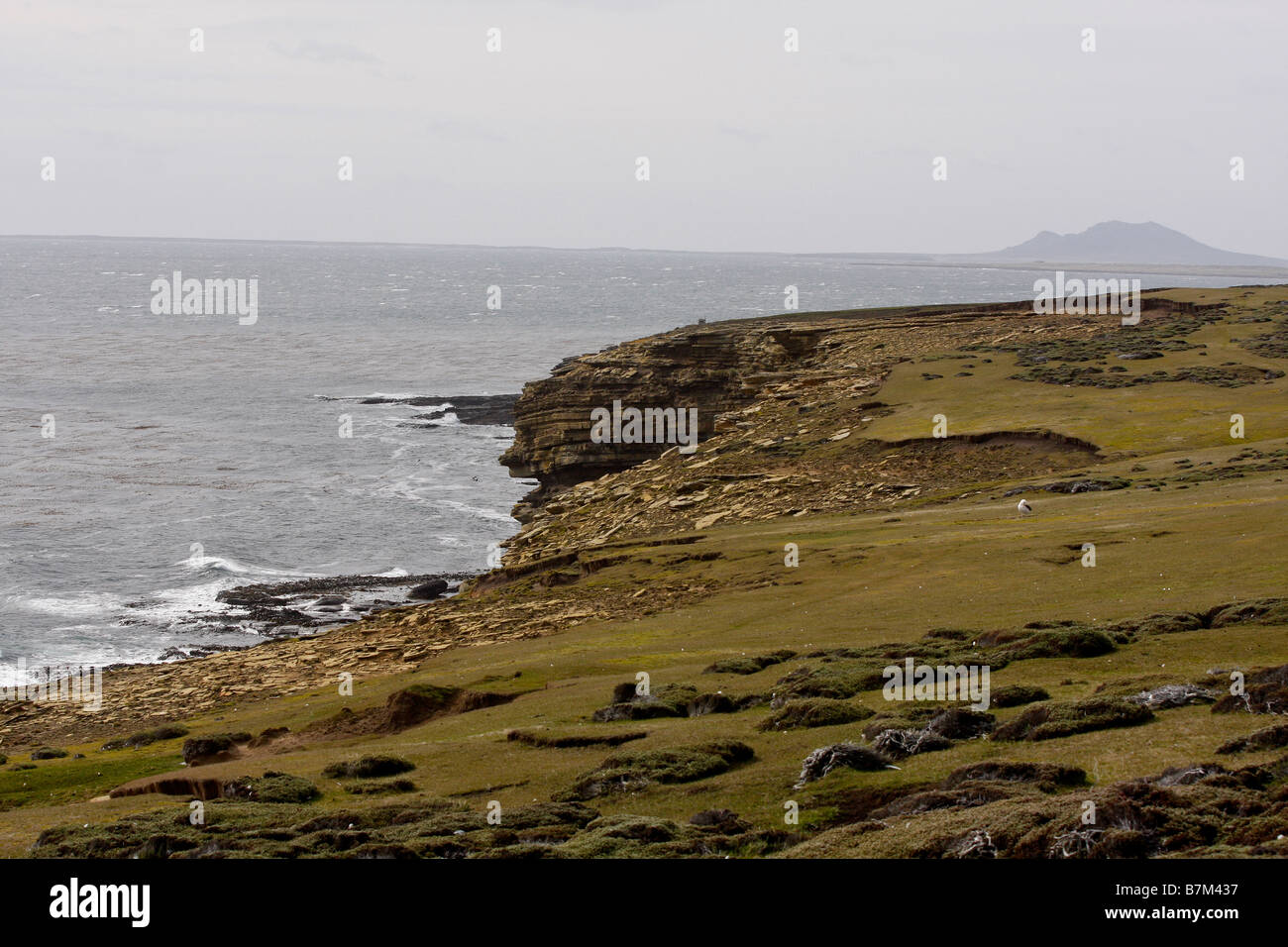 Rookery Saunders Island bird colony cottage, trail along ocean ...