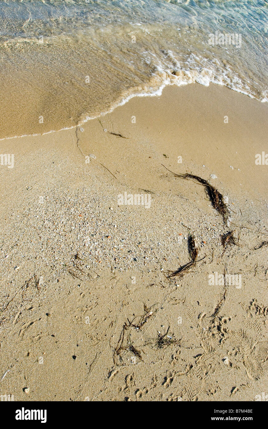 Shore line on beach, upright picture Stock Photo - Alamy