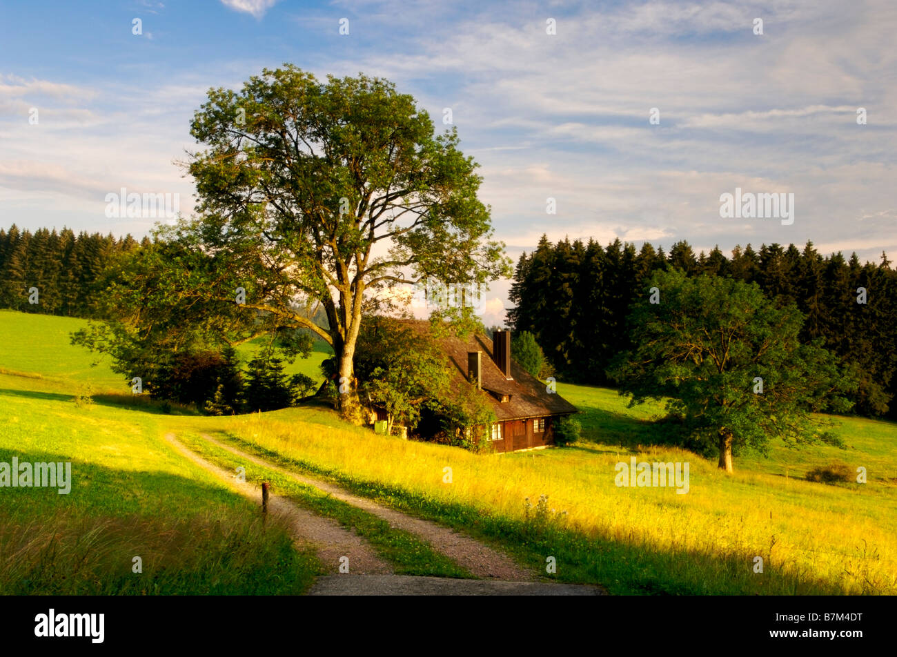 Typical german black forest house hi-res stock photography and images ...