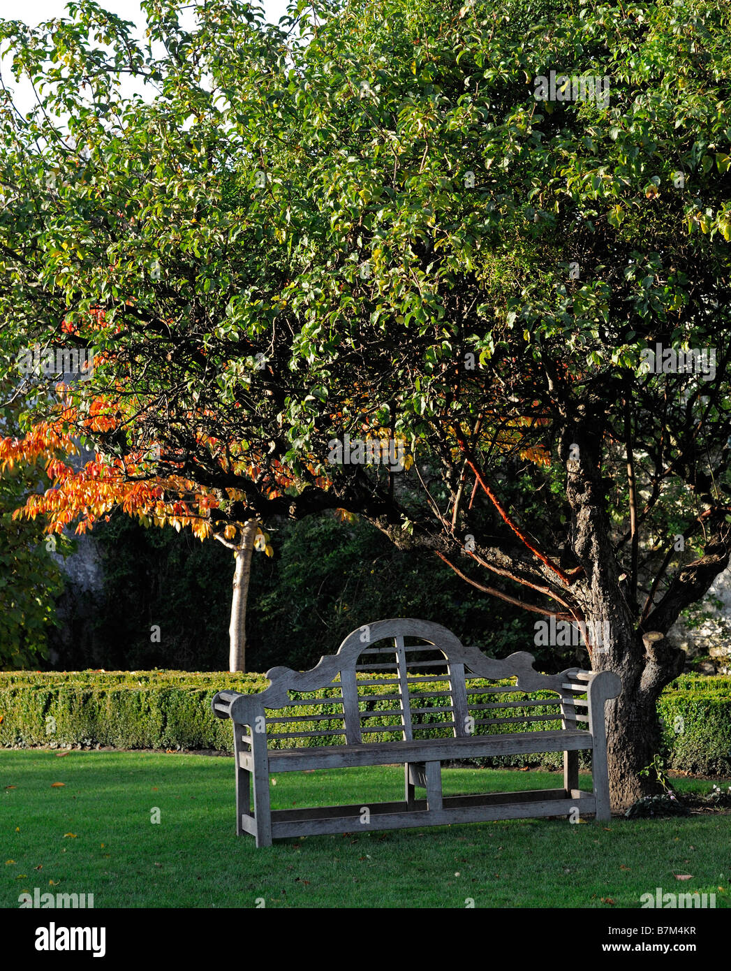 bench seat seating underneath beneath tree autumn farmleigh house ...