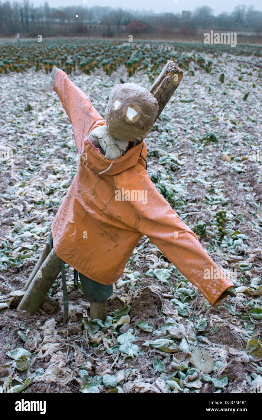 Farmers scarecrow hi-res stock photography and images - Alamy