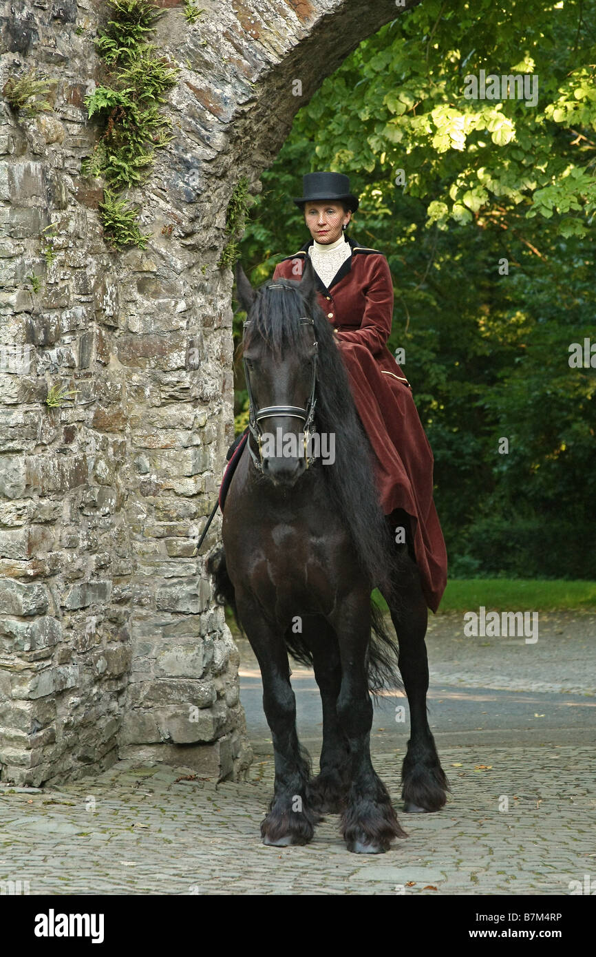 woman riding friesian Stock Photo - Alamy