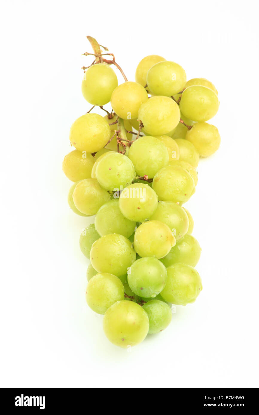 Grape cluster hi-res stock photography and images - Alamy