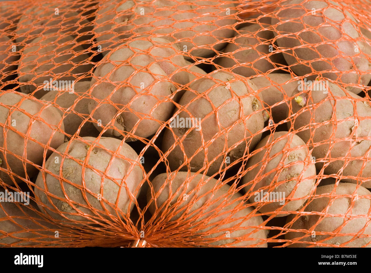 Seed potatoes net hi-res stock photography and images - Alamy