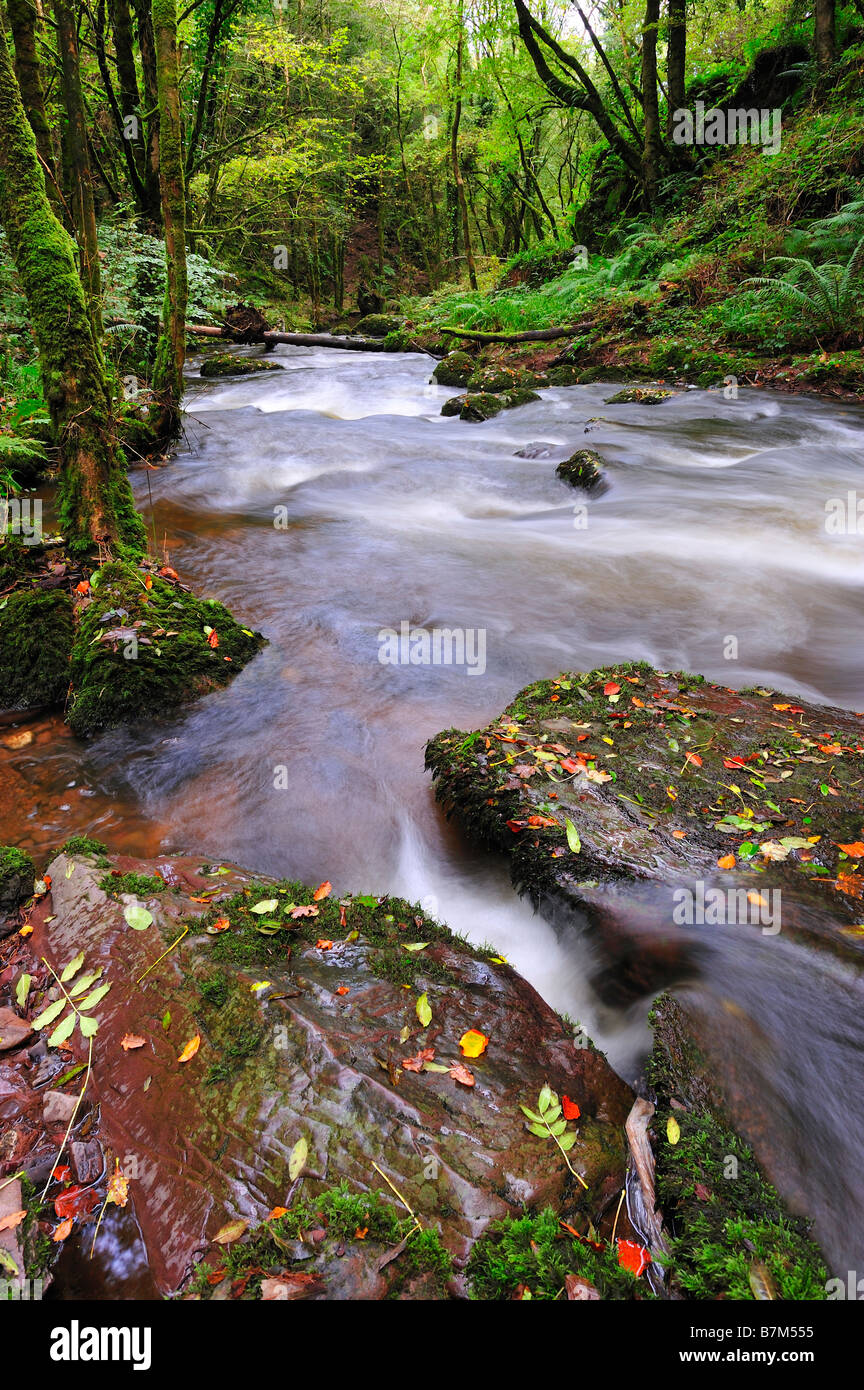 Laney River flowing through West Cork, Ireland Stock Photo - Alamy