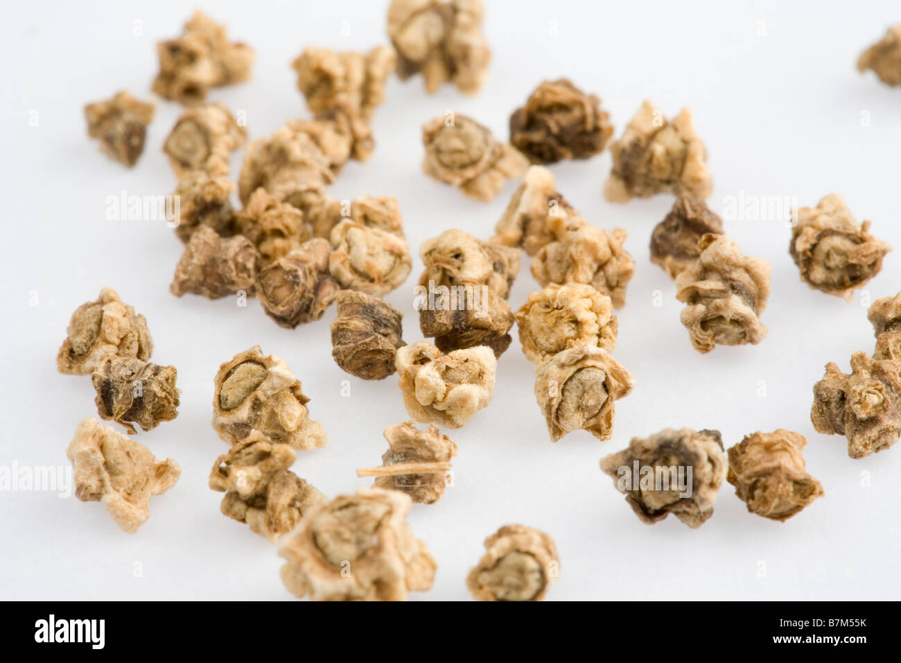 Beetroot seeds hi-res stock photography and images - Alamy