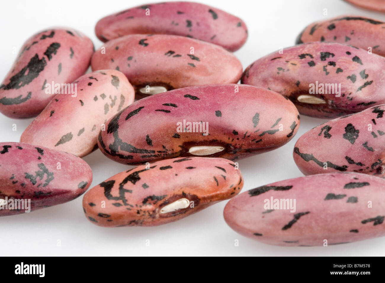 Runner beans studio High Resolution Stock Photography and Images - Alamy