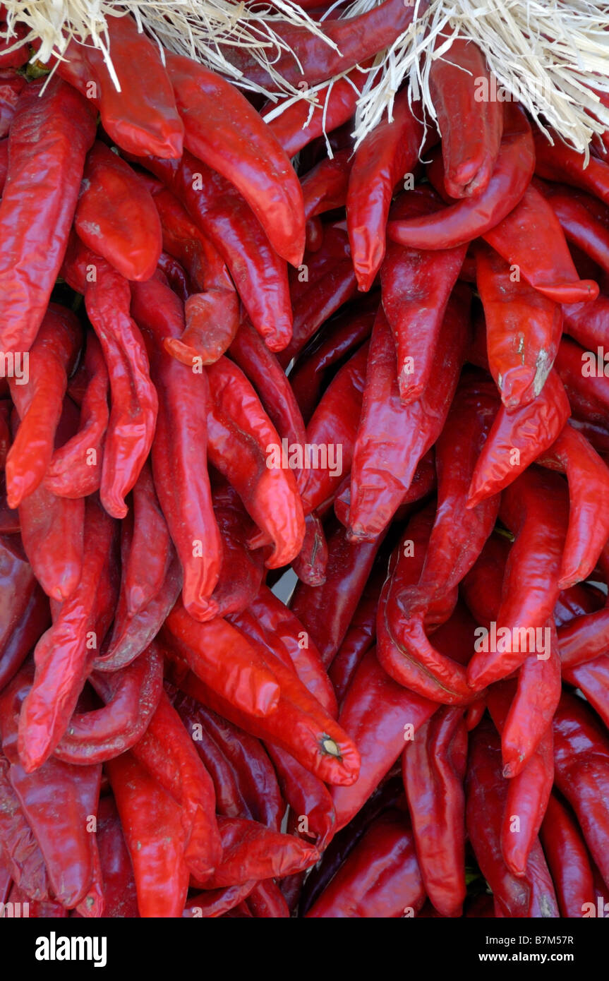 Dried Chili Peppers Stock Photo - Alamy