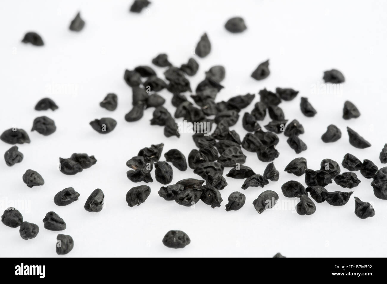 Michael seeds hi-res stock photography and images - Alamy