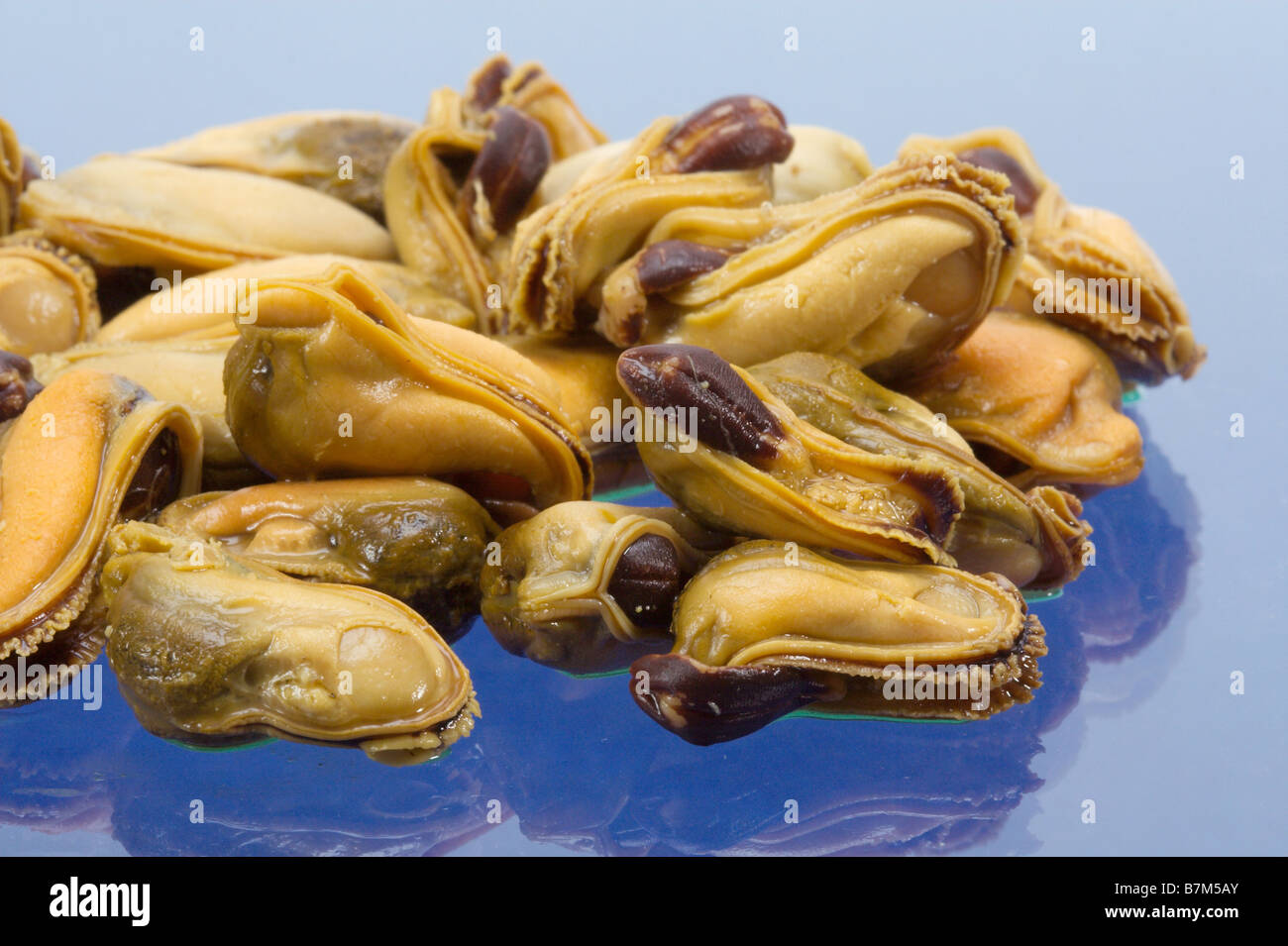 The cleared and salted mussels on a blue background Stock Photo - Alamy