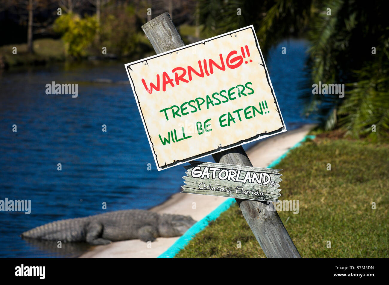 Gatorland hi-res stock photography and images - Alamy