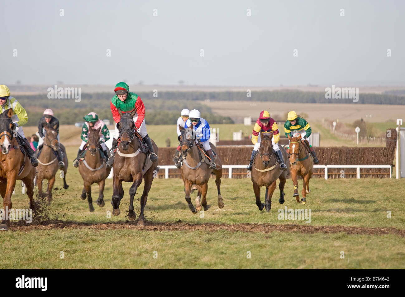 Point to point horse racing Larkhill Wiltshire England Stock Photo - Alamy