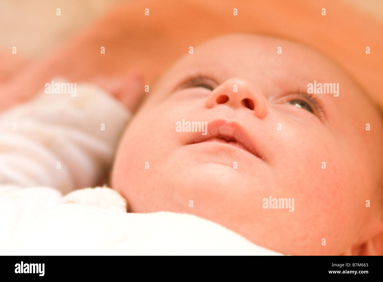 baby looking up in wonder Stock Photo - Alamy