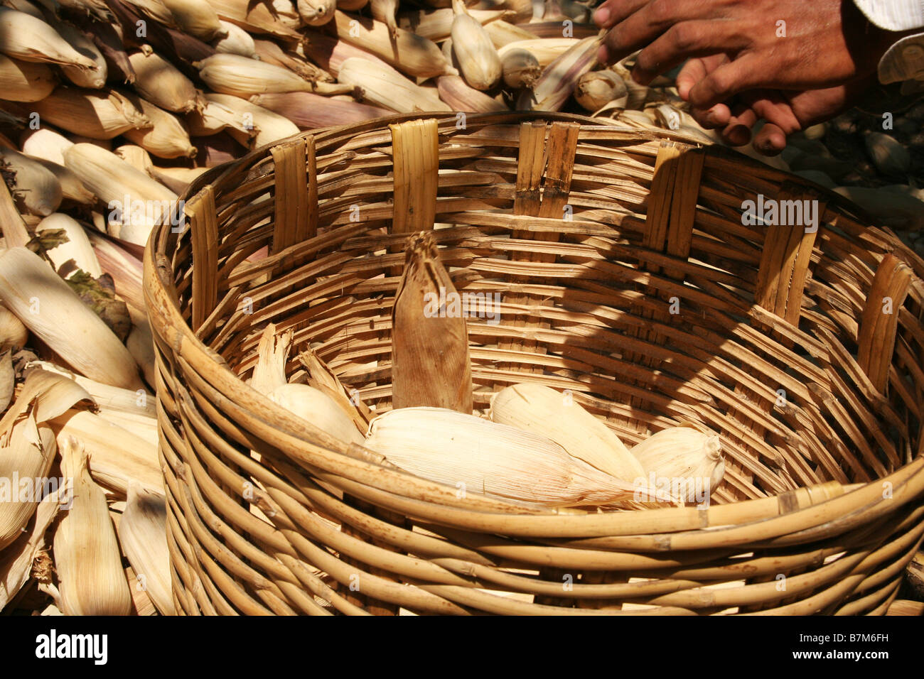 Food industry oaxaca hi-res stock photography and images - Alamy