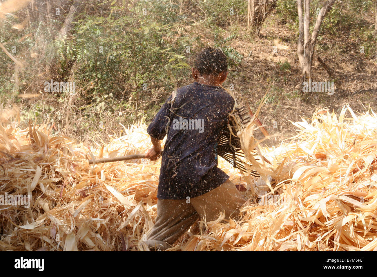 Mexico child labor hi-res stock photography and images - Alamy