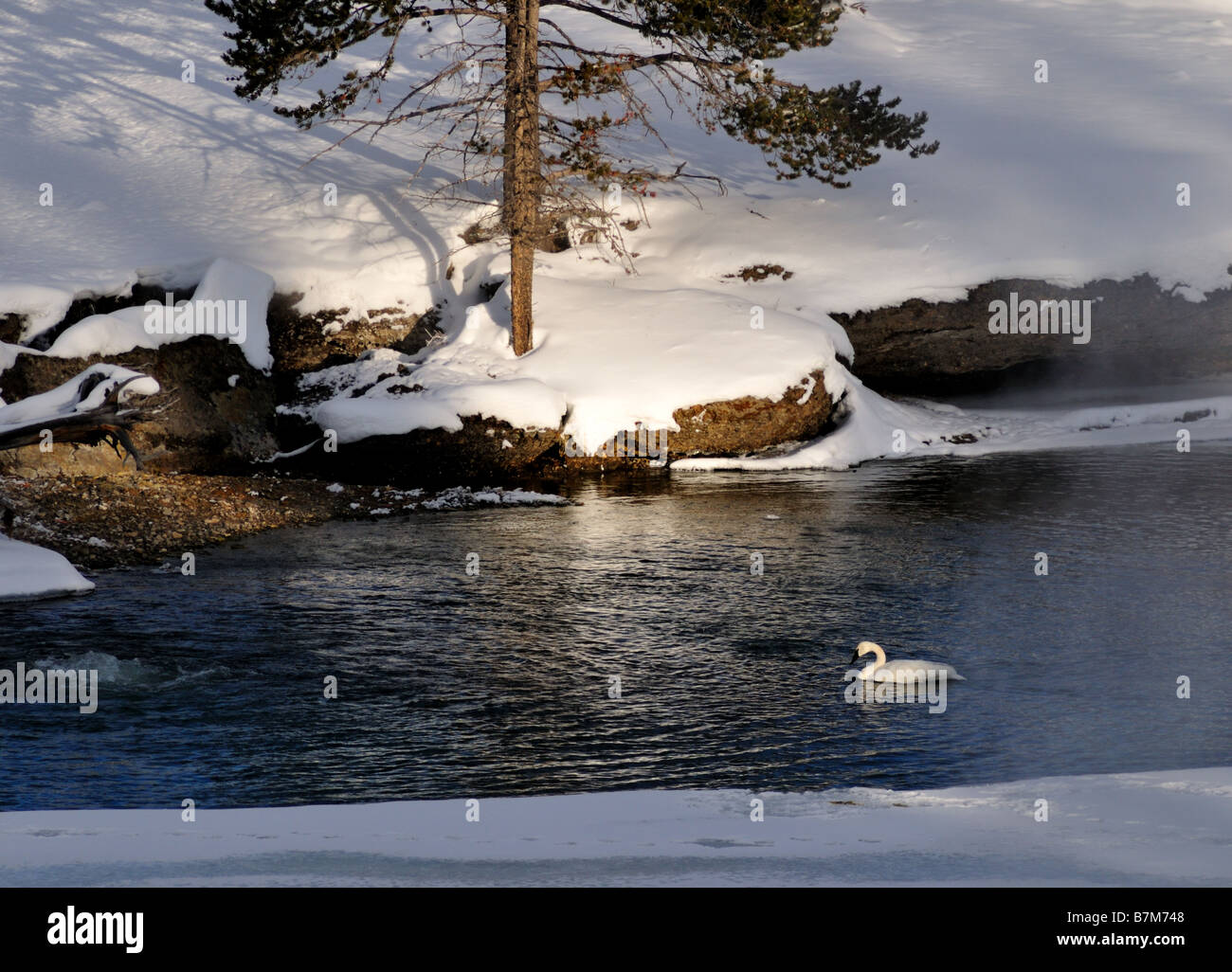 Spring pond hi-res stock photography and images - Alamy