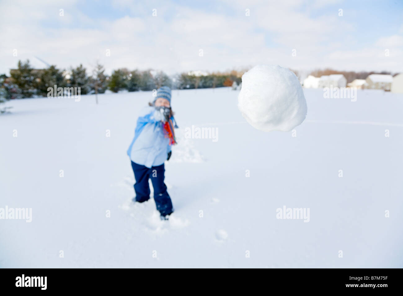 Snowball hi-res stock photography and images - Alamy