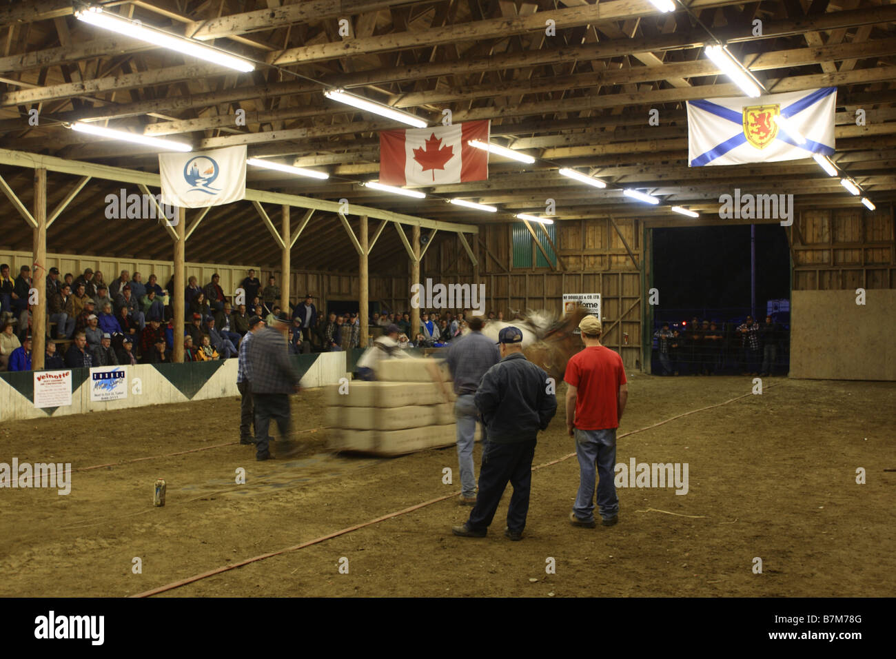 horse pull at caledonia fair nova scotia canada Stock Photo - Alamy