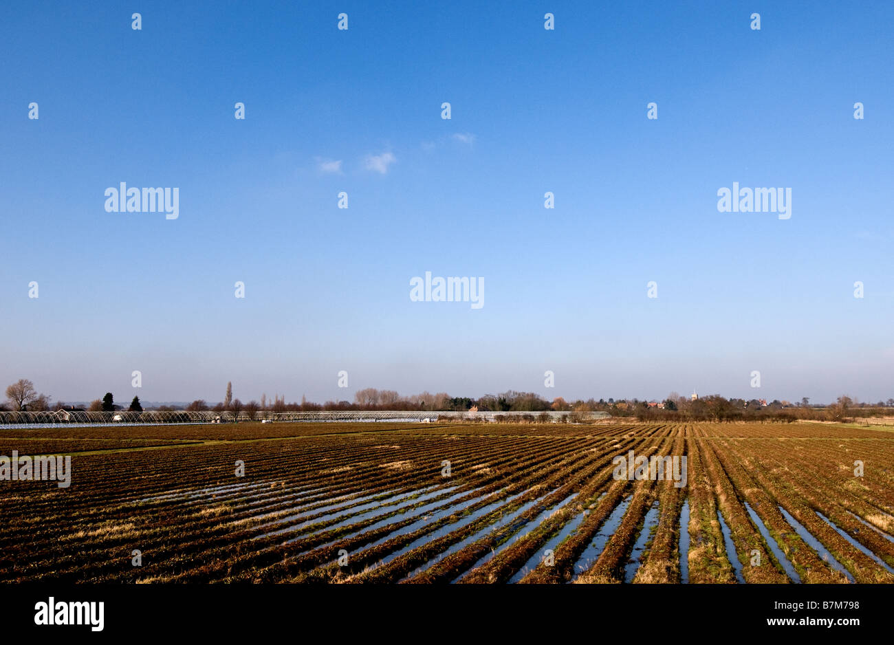Waterlogged furrows in a field Stock Photo - Alamy