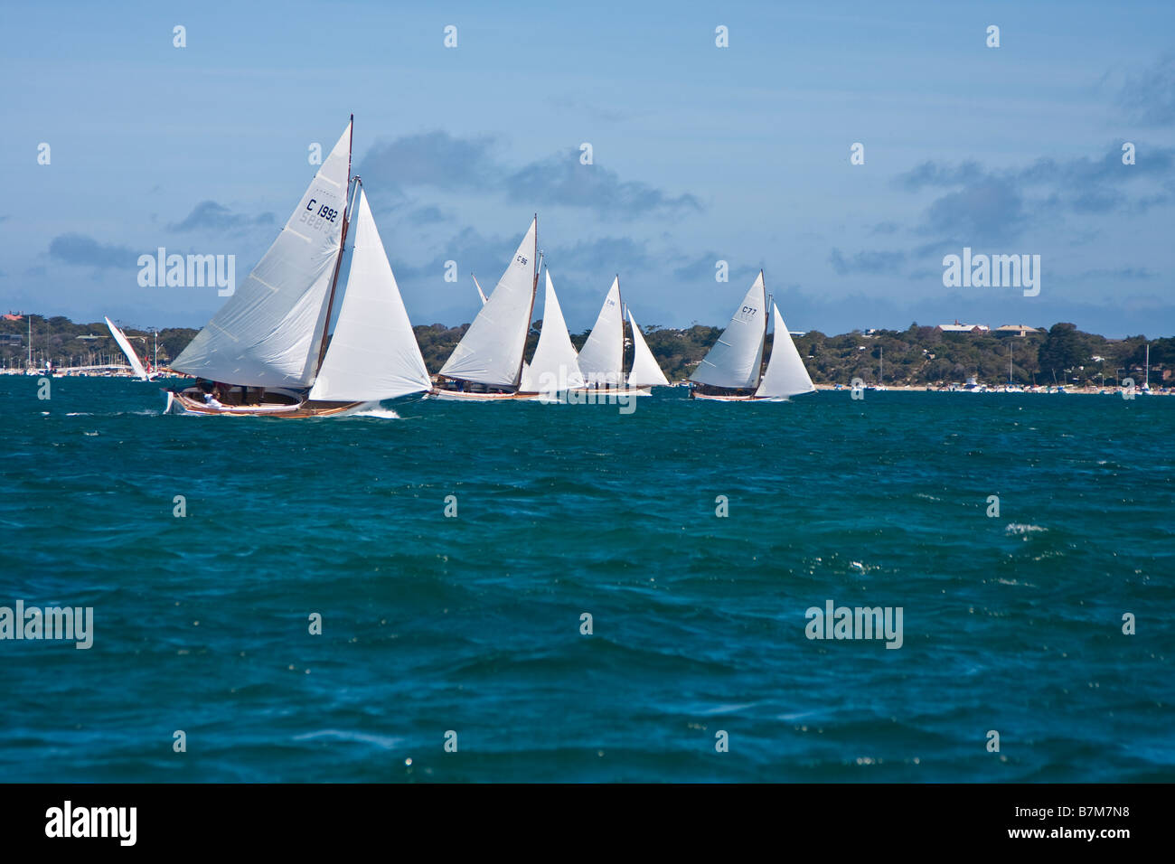 Couta boat hi-res stock photography and images - Alamy