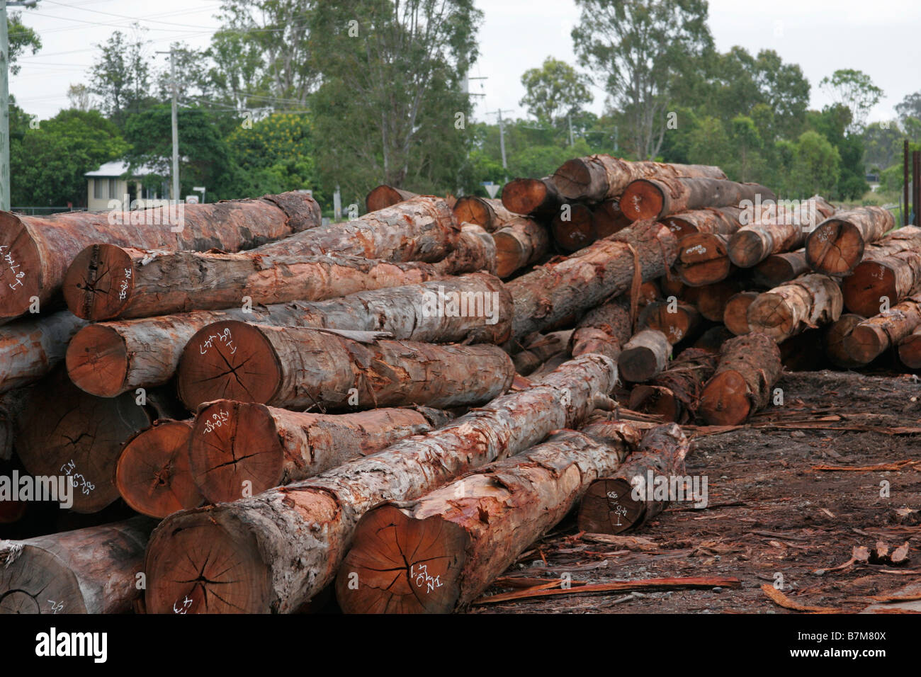 sawmill Stock Photo - Alamy sawmill Stock Photo - Alamy