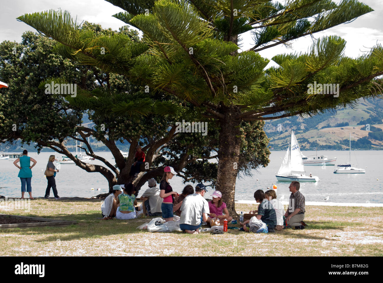 Seafront picnic, French Bay, Akaroa, Banks Peninsula, Canterbury, New ...