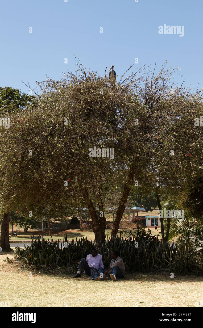 Uhuru park in a center of Nairobi Stock Photo - Alamy