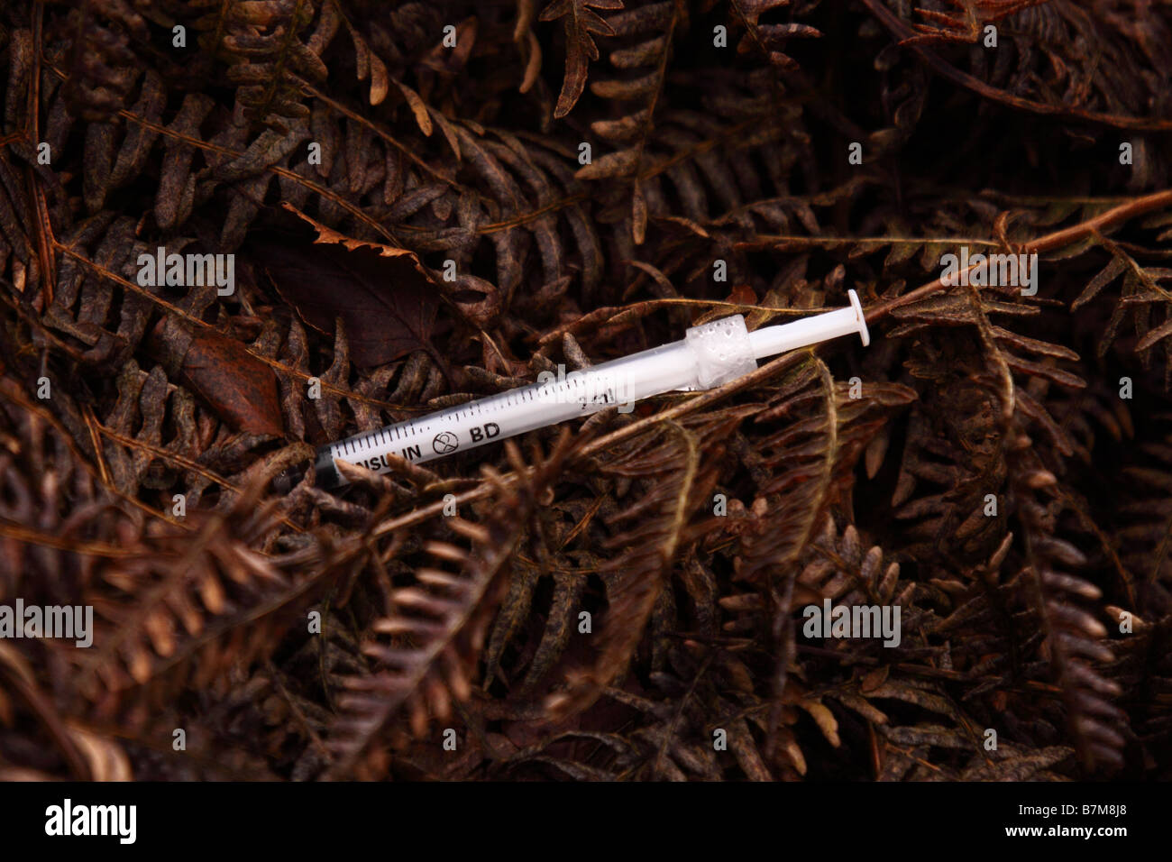 used syringe discarded at the side of a woodland path Stock Photo - Alamy
