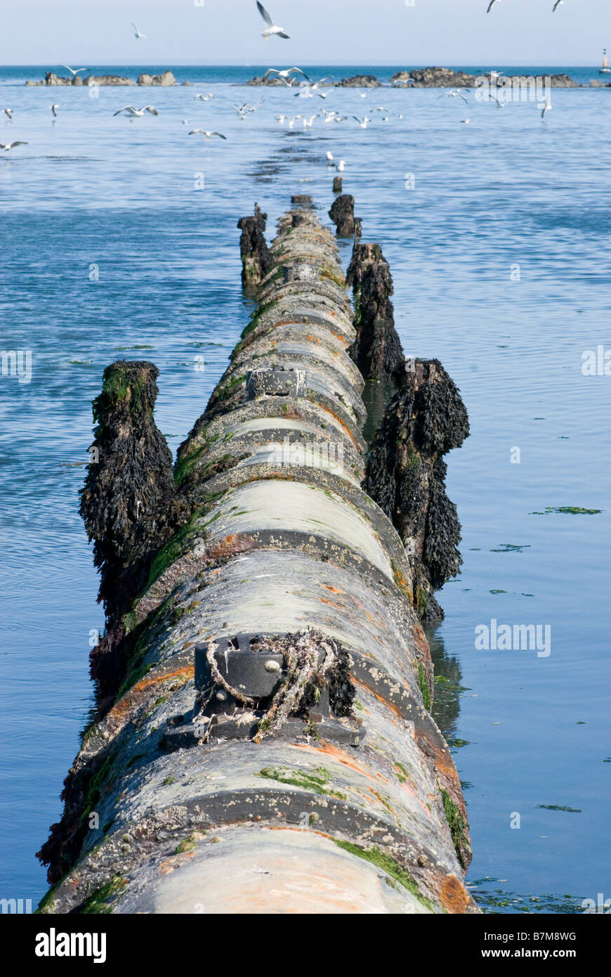Raw sewage outfall pipe going into the sea, and slick on the water ...