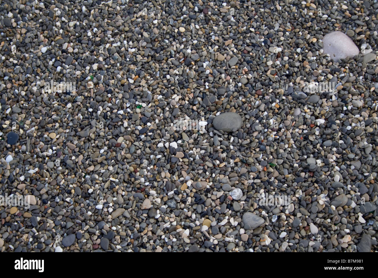 Stones on the beach Stock Photo - Alamy