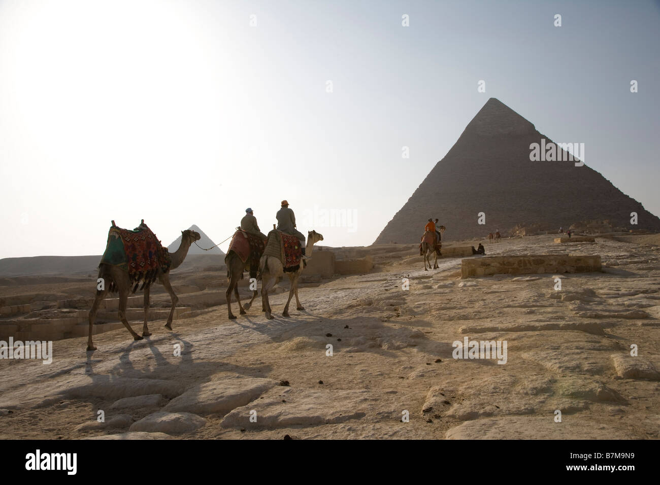 Camel silhouette pyramids hi-res stock photography and images - Alamy