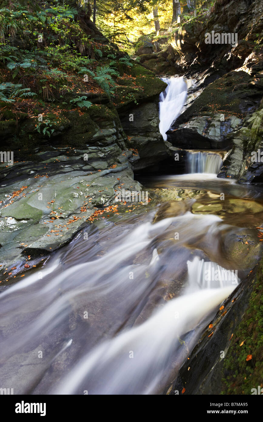 Acharn hi-res stock photography and images - Alamy