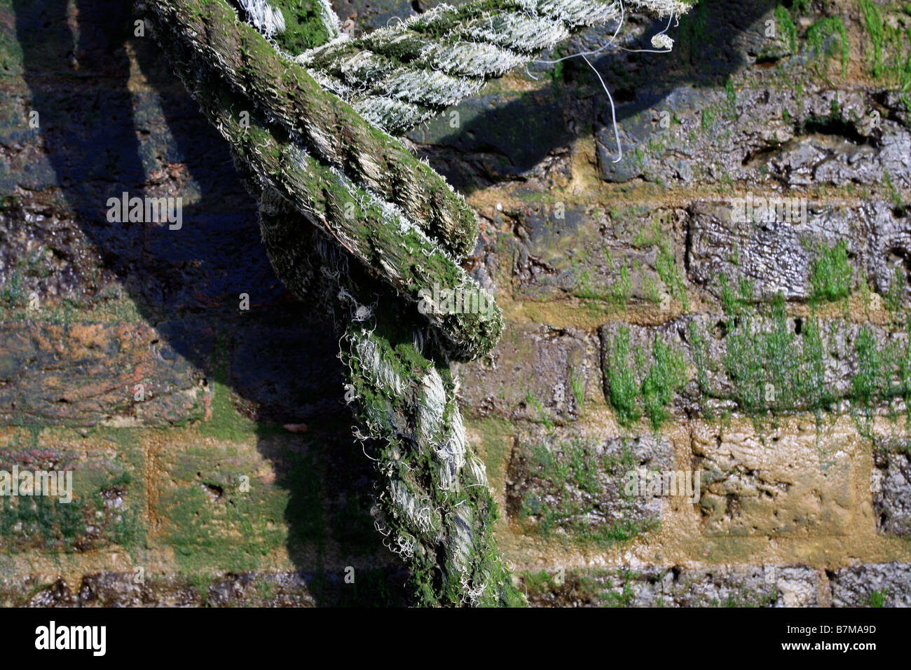 rope on the banks of the river thames Stock Photo - Alamy