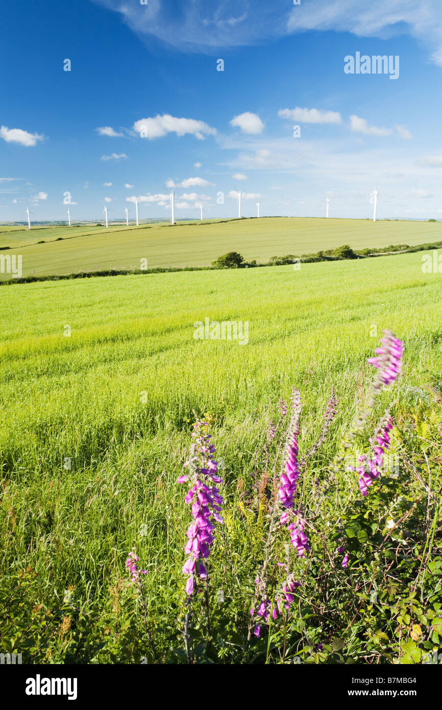 Newlyn downs hi-res stock photography and images - Alamy