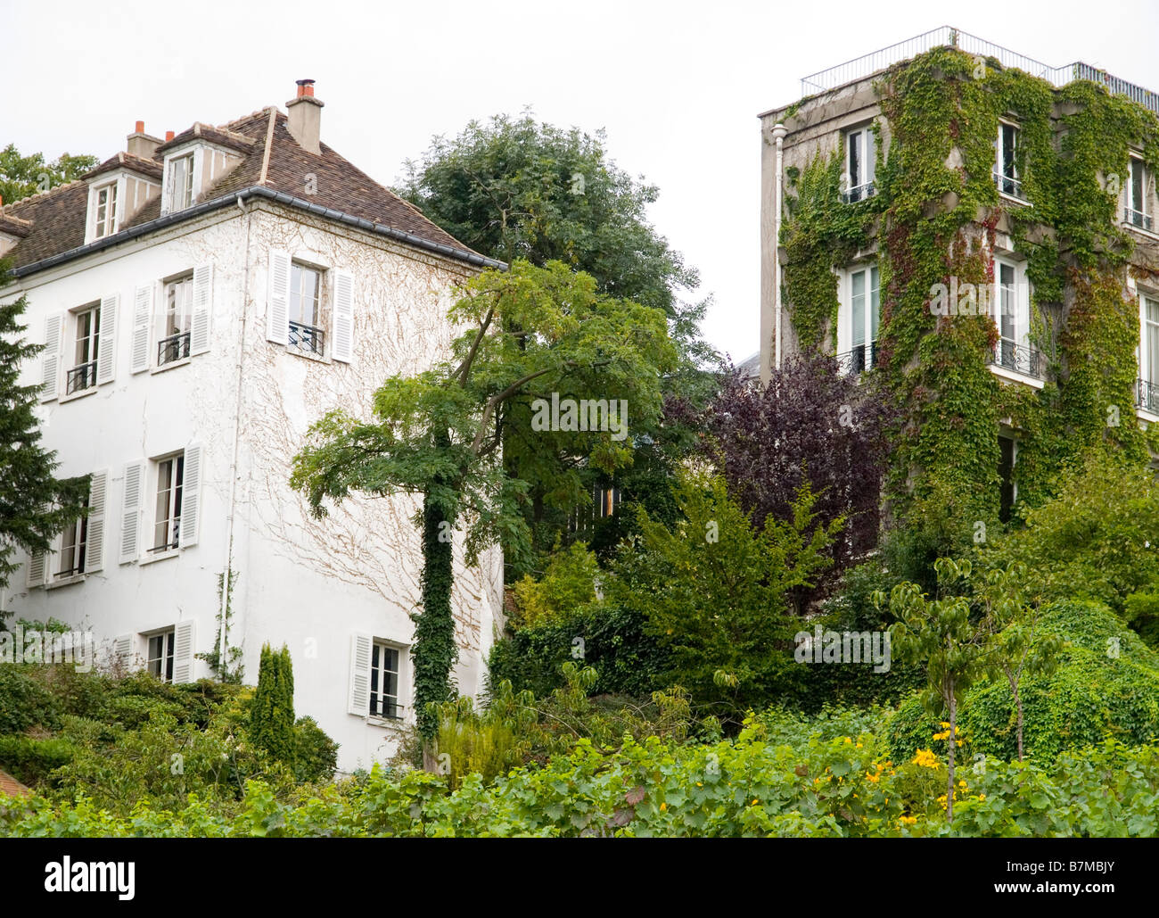 Clos de montmartre hi-res stock photography and images - Alamy