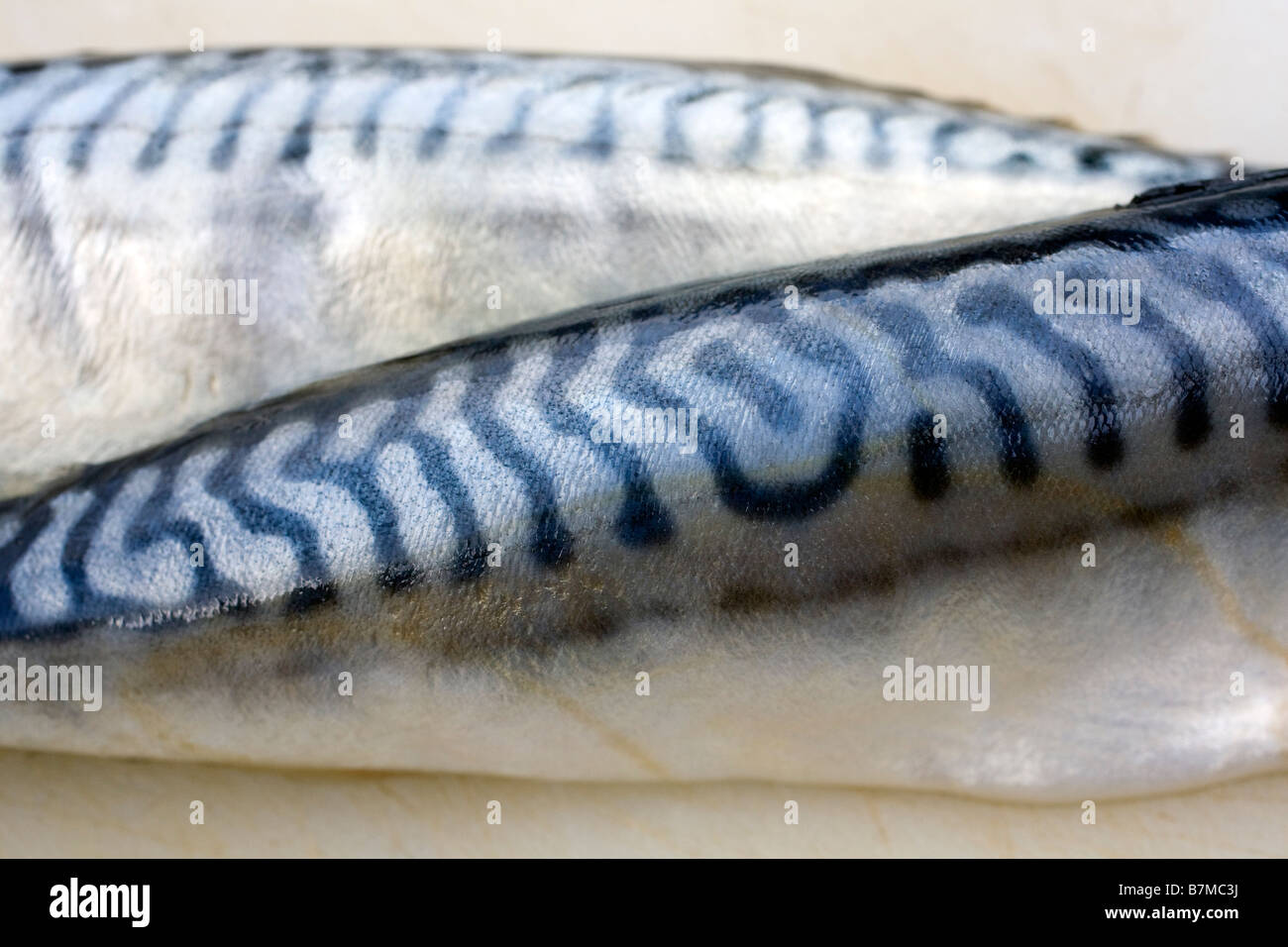 Detail of the markings on a Mackerel Stock Photo - Alamy