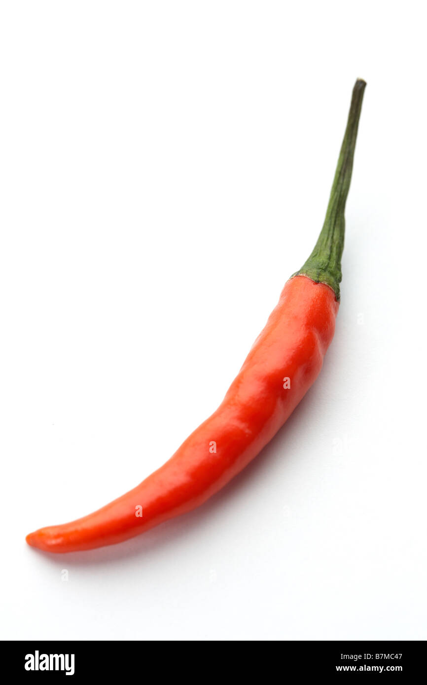 One Red Chilli Pepper Stock Photo - Alamy