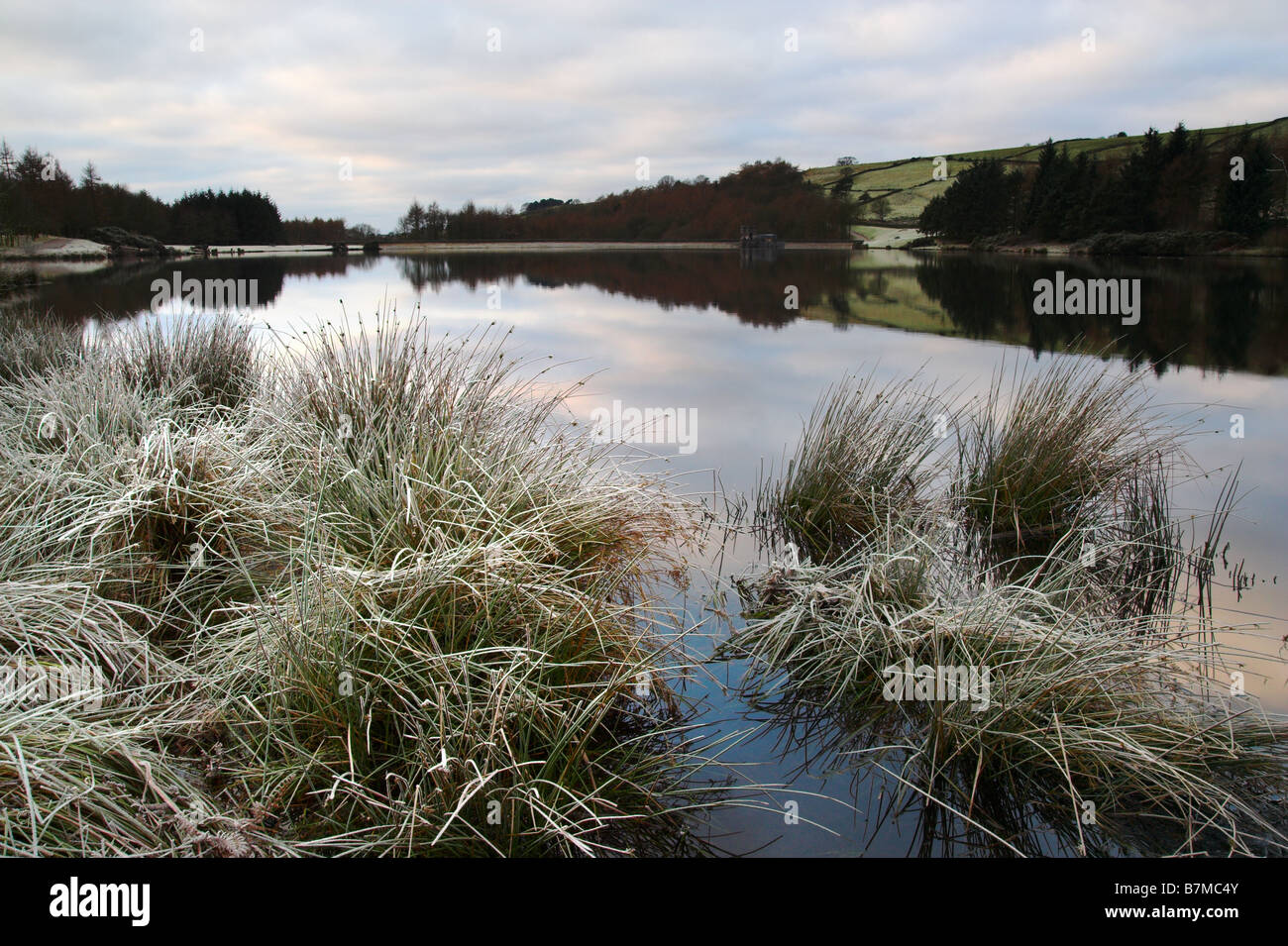 Dam at Cod Beck Stock Photo - Alamy