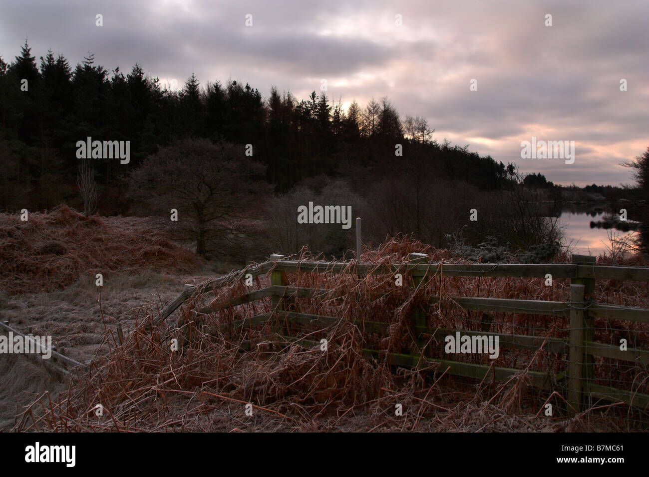 Cod Beck Reservoir, High Resolution Stock Photography and Images - Alamy
