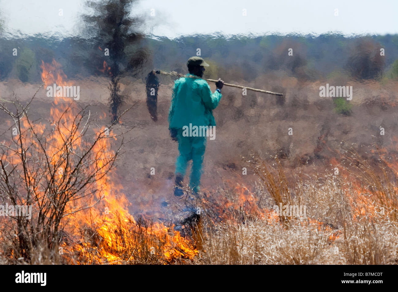 A worker seen through the heat shimmer as he watches a controlled fire ...
