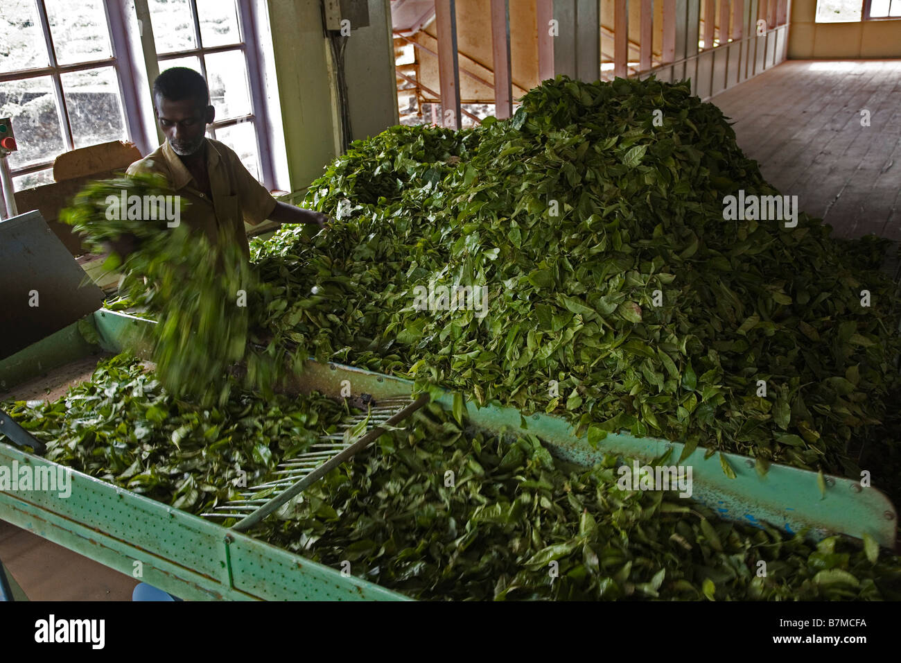 Kumily hi-res stock photography and images - Alamy