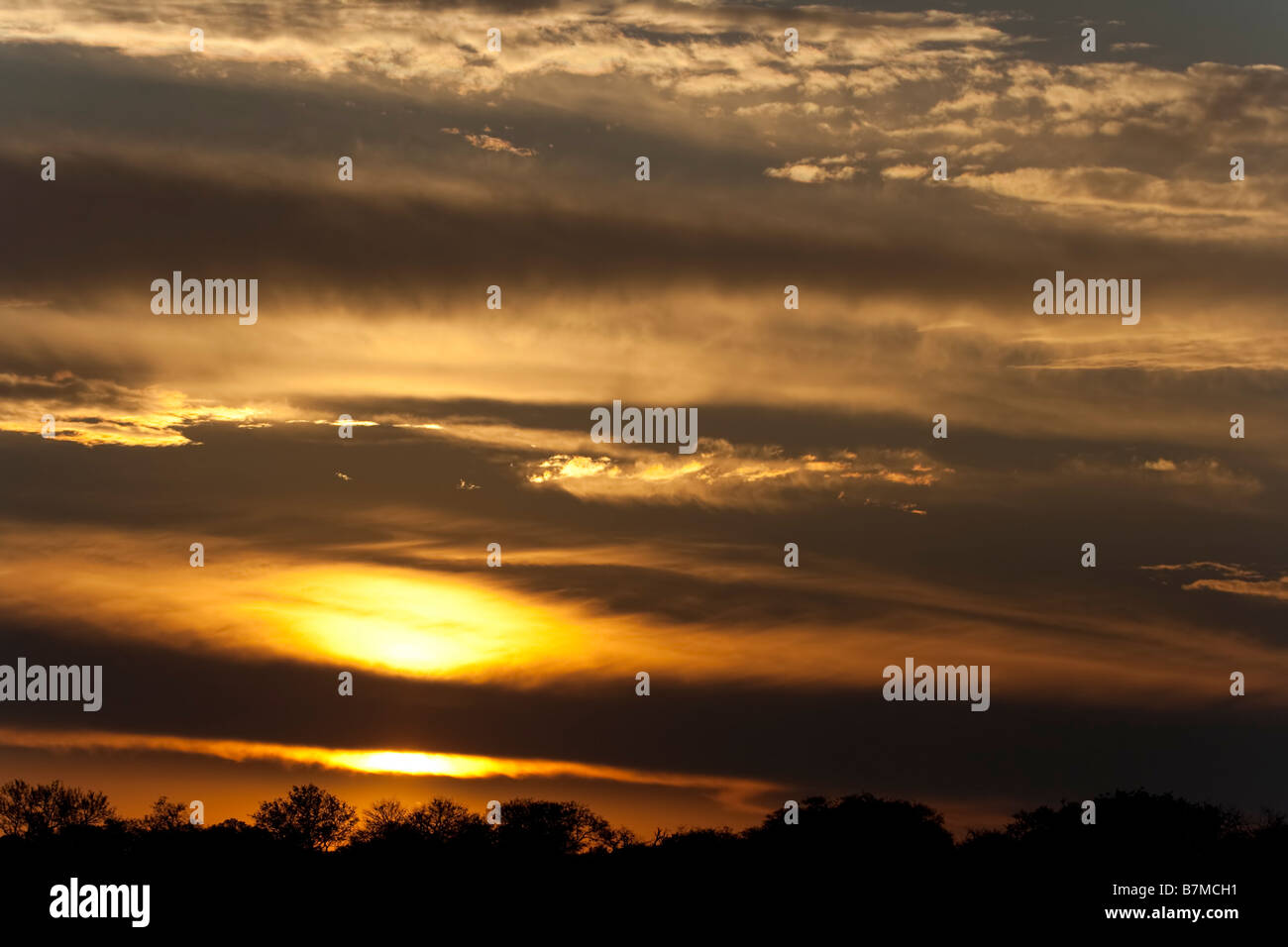 Sunset bushveld hi-res stock photography and images - Alamy
