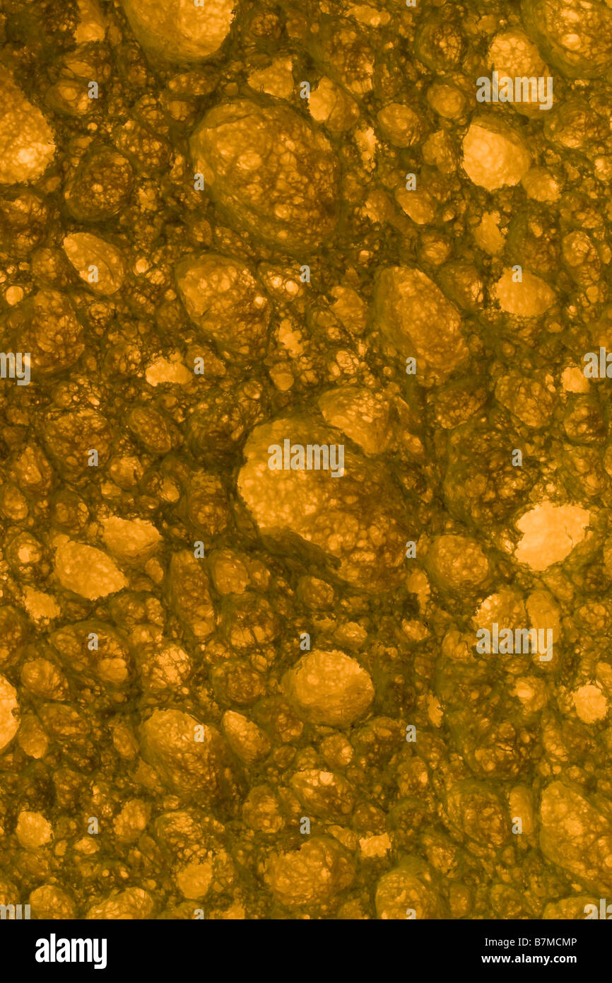 close-up of backlit yellow kitchen sponge cellulose Stock Photo - Alamy